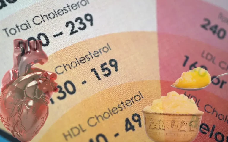 Ayurveda Insights: Ghee And Cardiovascular Health - Debunking Myths And ...